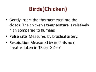 Vital Signs of Animals Presentation By Aftab Ahmed Rahimoon | PPTX