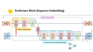 Alphafold2 - Protein Structural Bioinformatics After CASP14 | PPTX