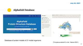 Alphafold2 - Protein Structural Bioinformatics After CASP14 | PPTX