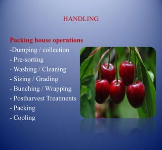 post harvest handling of fruits | PPTX