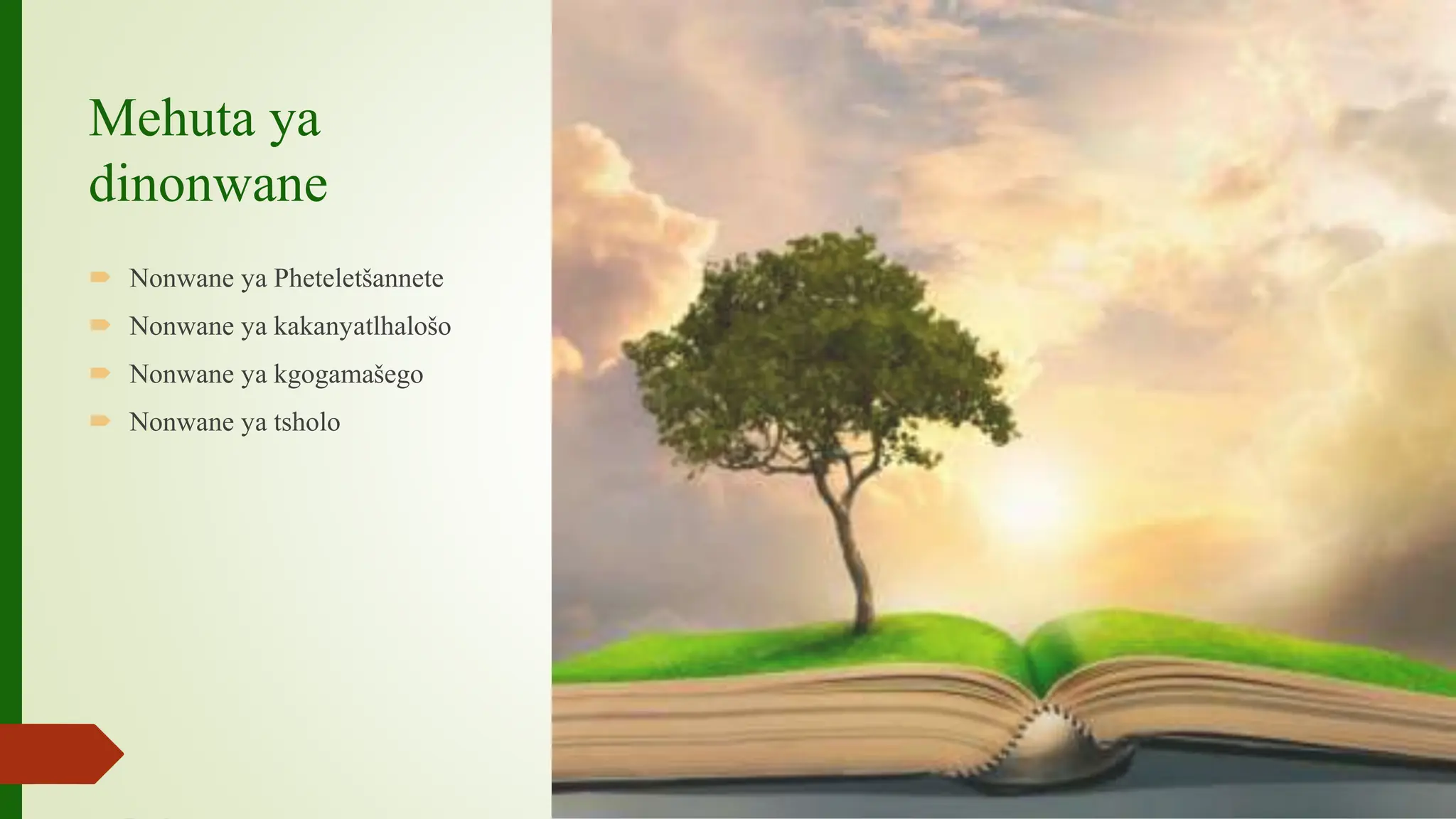 AFT Final presentation.pptx