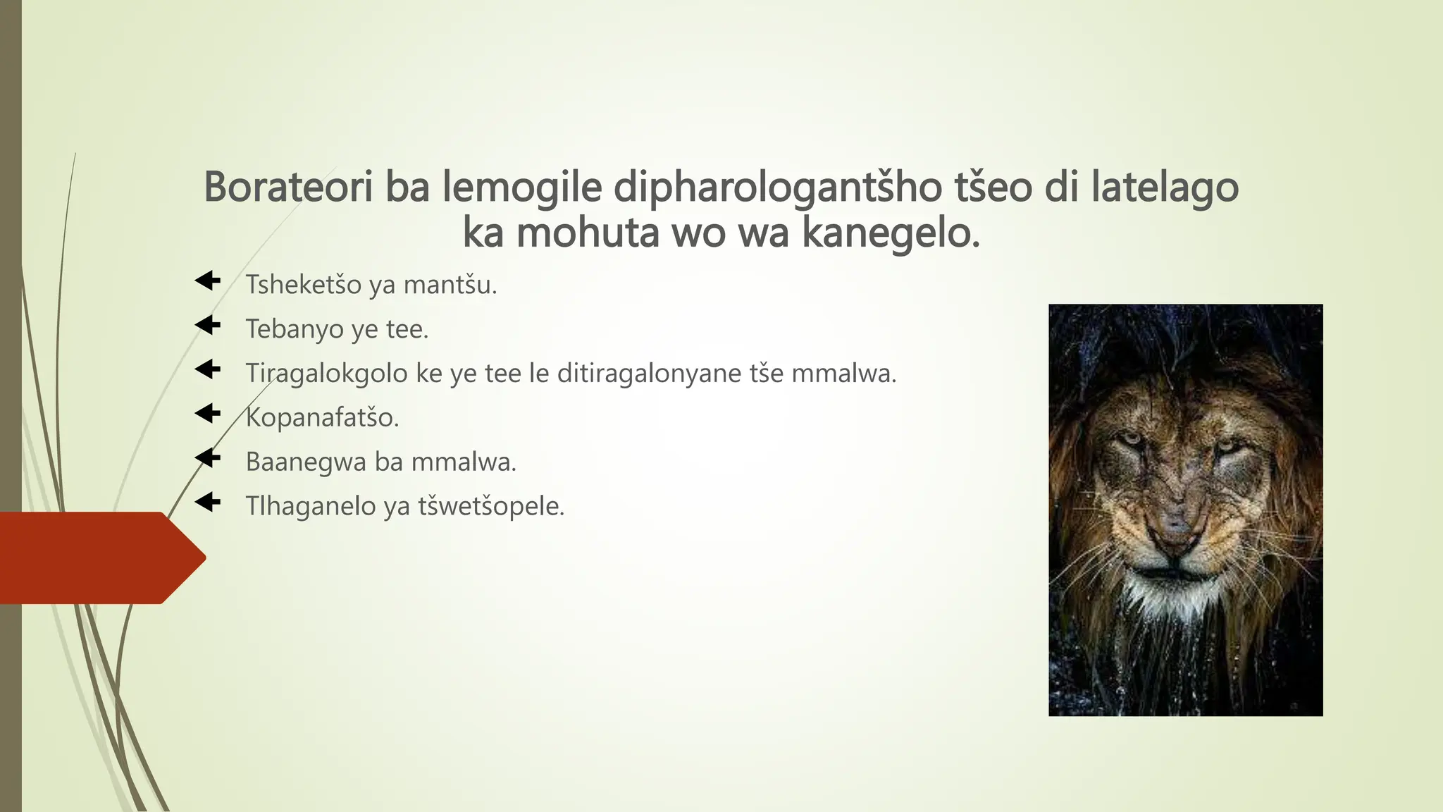 AFT_Powerpoint_Kgoši_Mashego[1].pptx