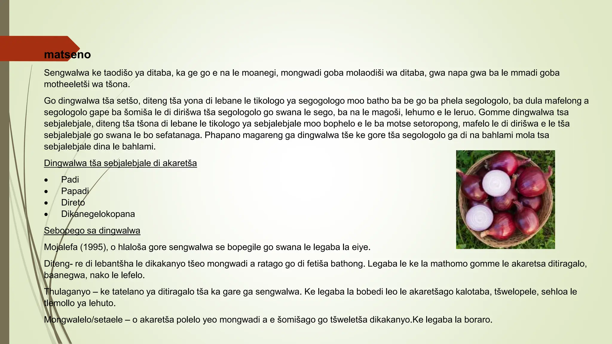 AFT_Powerpoint_Kgoši_Mashego[1].pptx