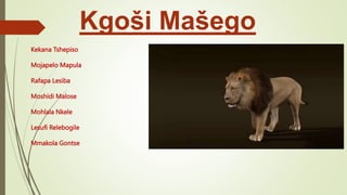 AFT_Powerpoint_Kgoši_Mashego[1].pptx