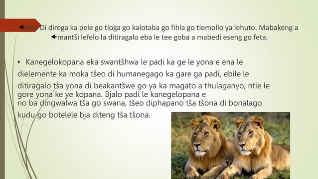 AFT_Powerpoint_Kgoši_Mashego[1].pptx