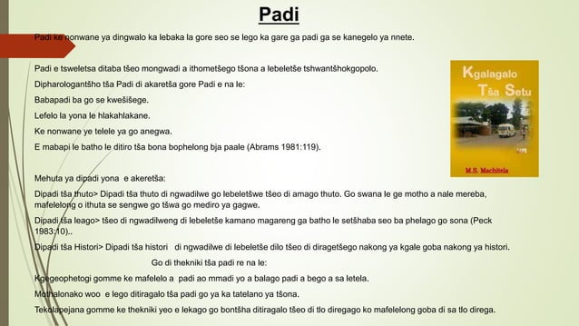 AFT_Powerpoint_Kgoši_Mashego[1].pptx