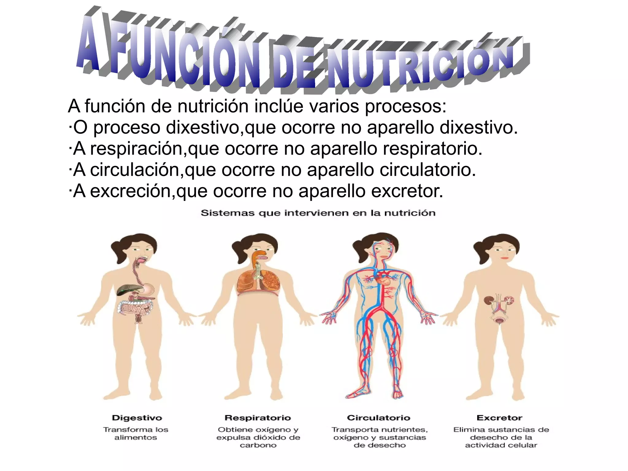 A funcion de nutricion | ODP