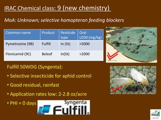 Insecticides for Vegetable Production 2011 | PPTX