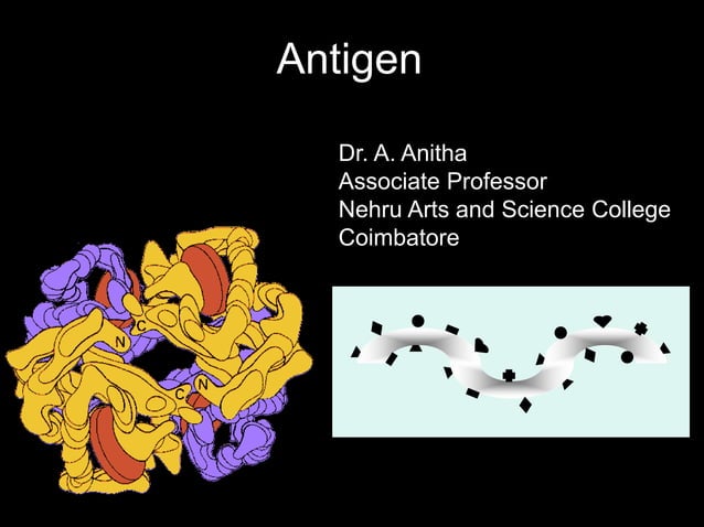 Antigen | PPT