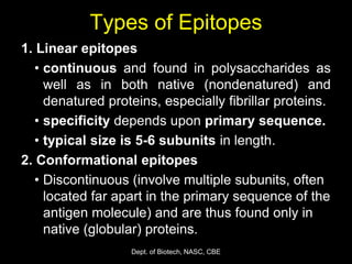 Antigen | PPT | Chemistry | Science