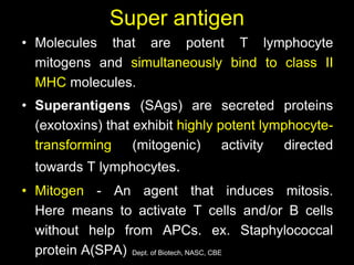 Antigen | PPT | Chemistry | Science