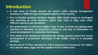 (AG-215) FORAGE CROPs.pptx