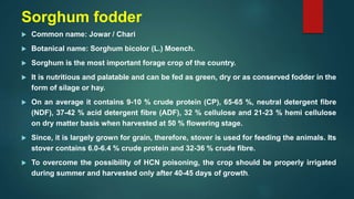 (AG-215) FORAGE CROPs.pptx