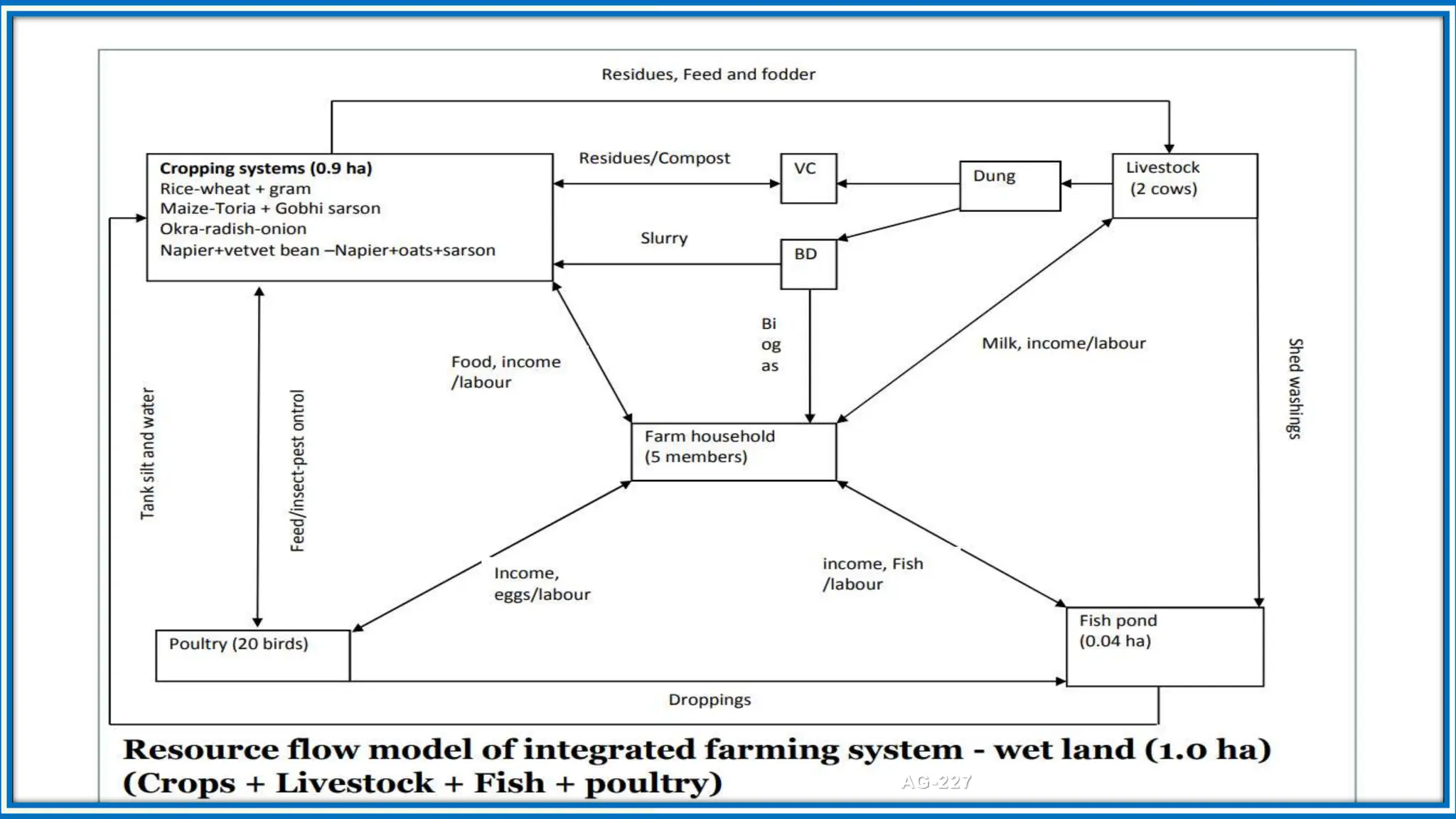 Resource recycling and energy flow in wetland farming.pptx