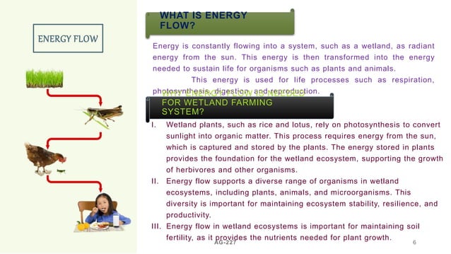 Resource recycling and energy flow in wetland farming.pptx ...