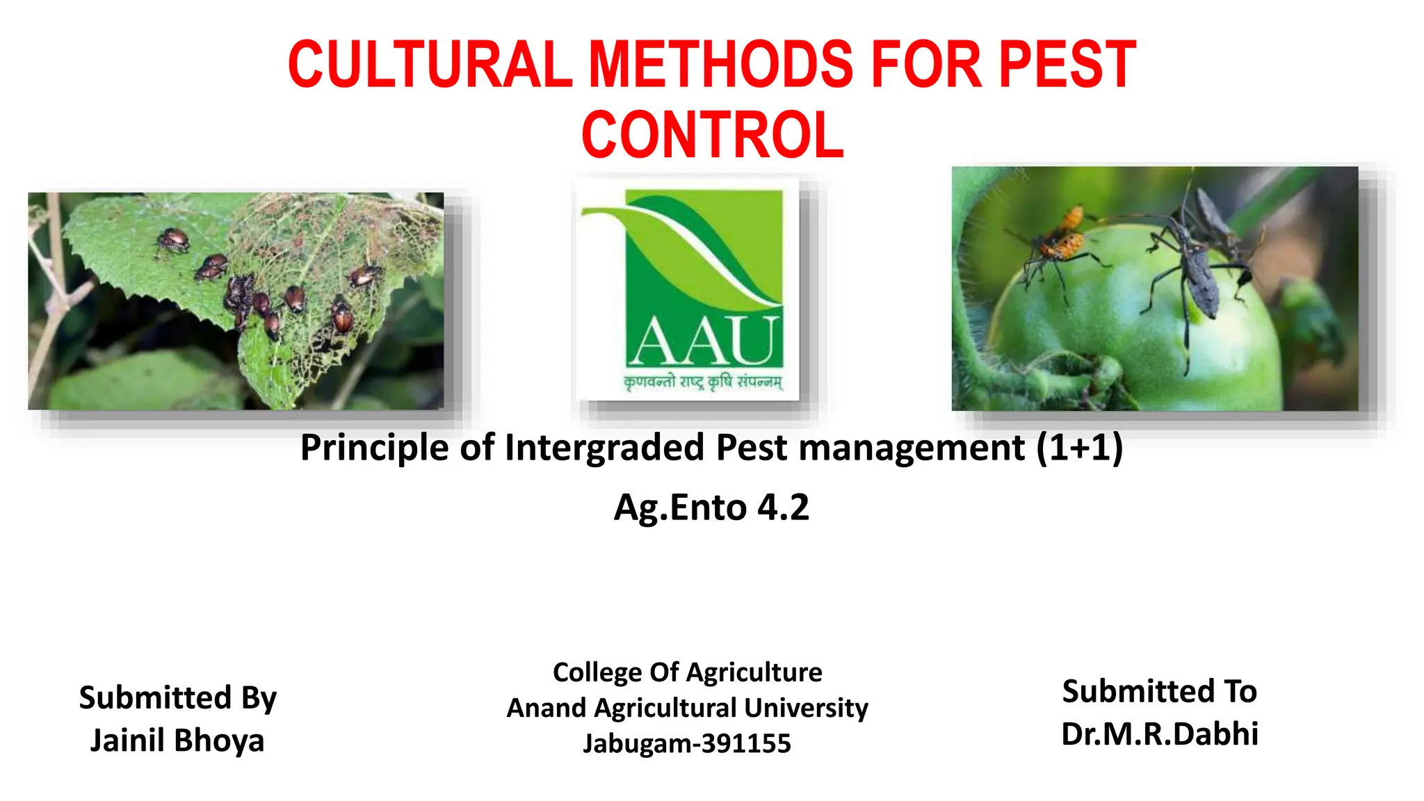 Cultural methods for pest control . pptx | PPTX