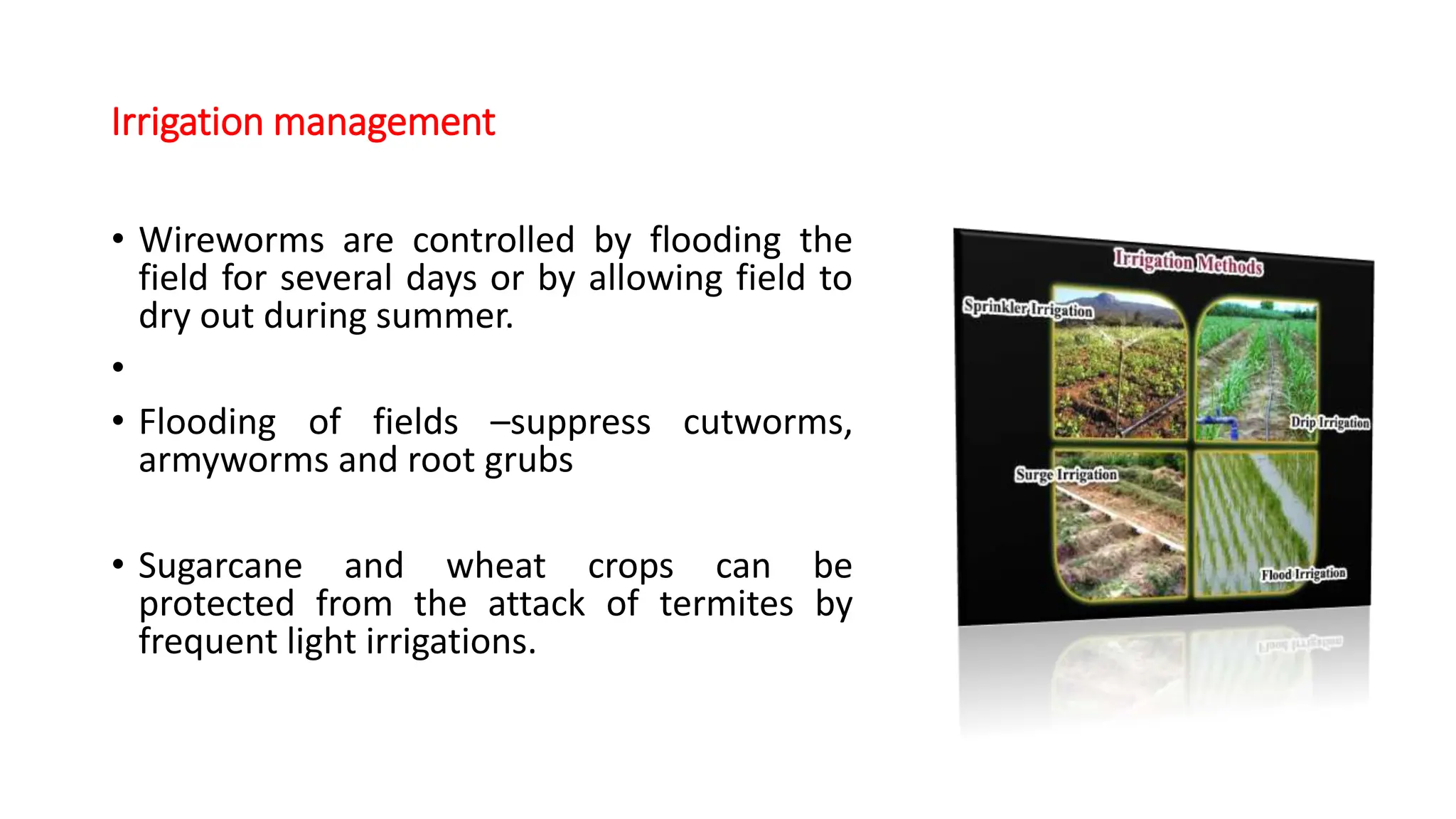 Cultural methods for pest control . pptx | PPTX