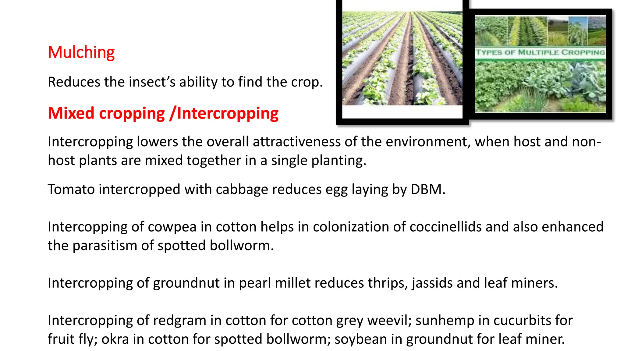 Cultural methods for pest control . pptx | PPTX