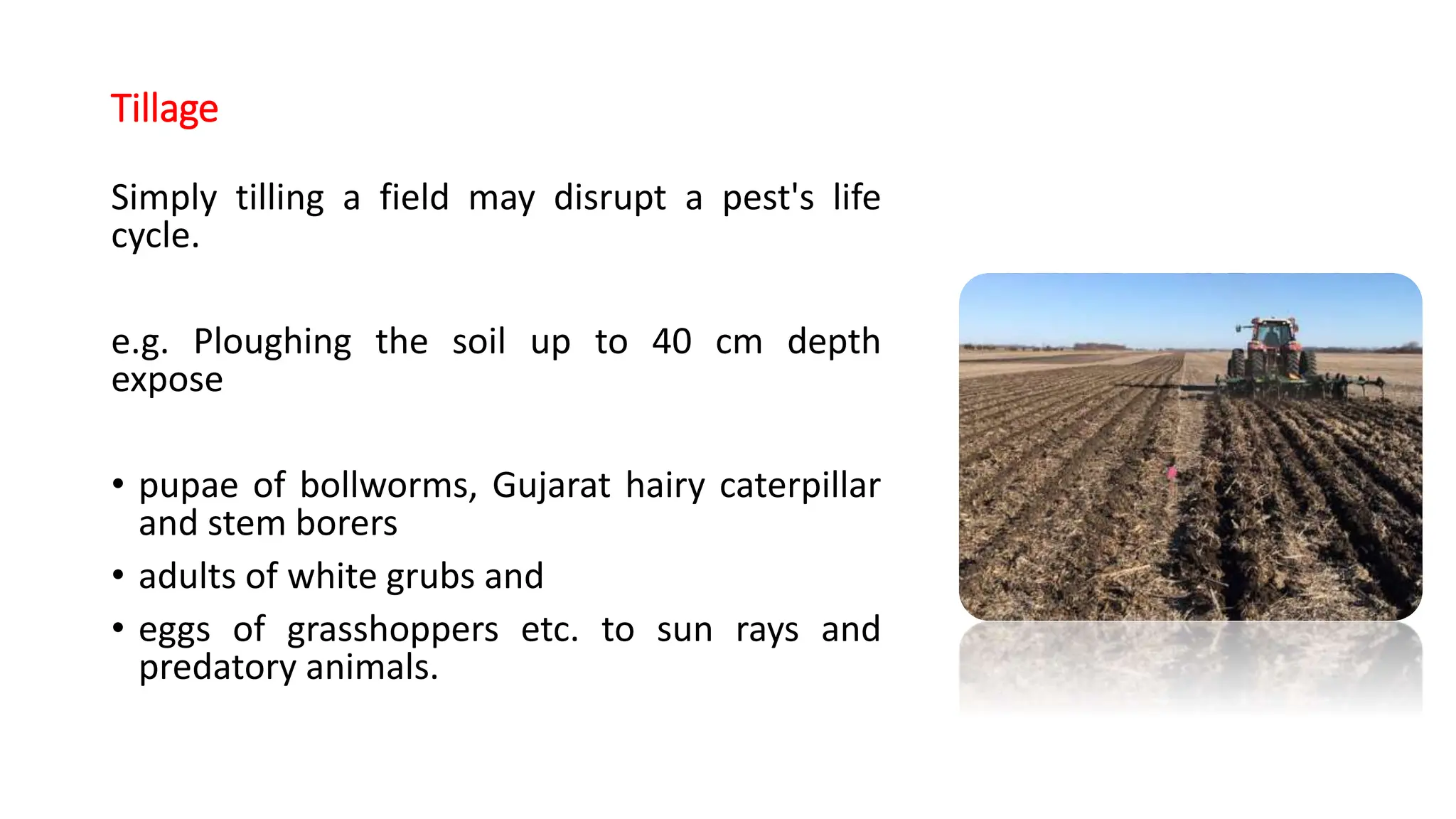 Cultural methods for pest control . pptx | PPTX