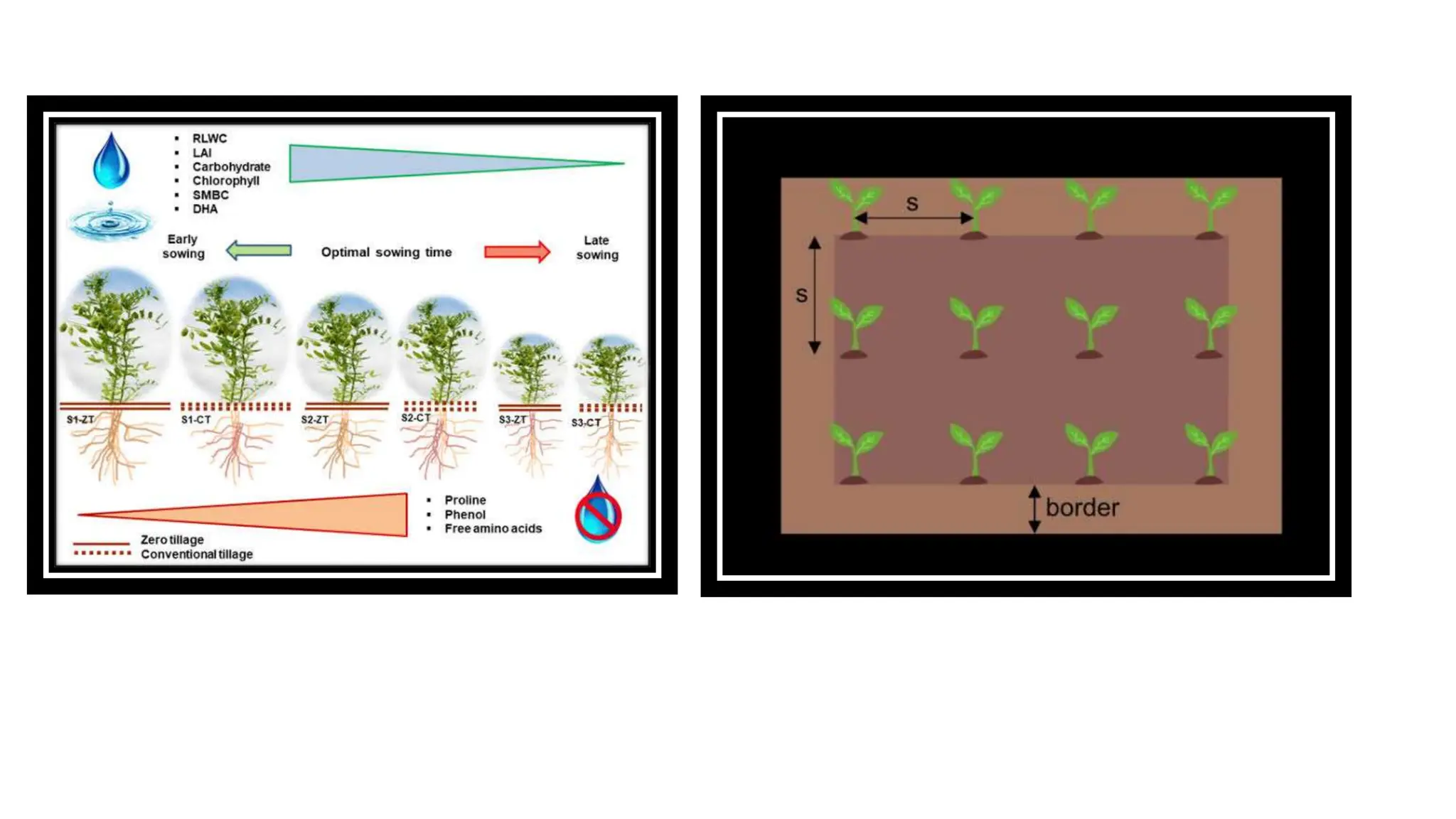 Cultural methods for pest control . pptx | PPTX
