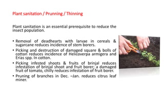 Cultural methods for pest control . pptx | PPTX