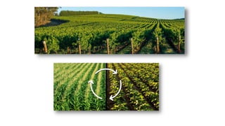 Cultural methods for pest control . pptx | PPTX