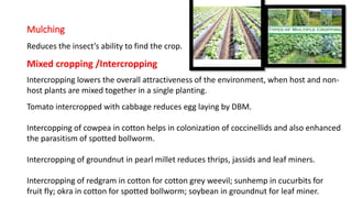 Cultural methods for pest control . pptx | PPTX