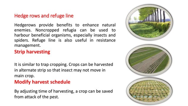 Cultural methods for pest control . pptx | PPTX