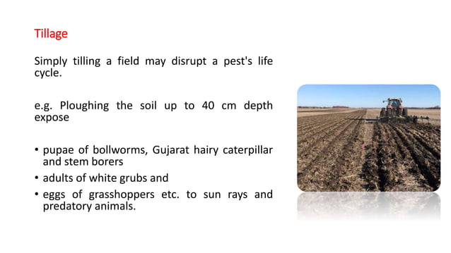 Cultural methods for pest control . pptx | PPTX