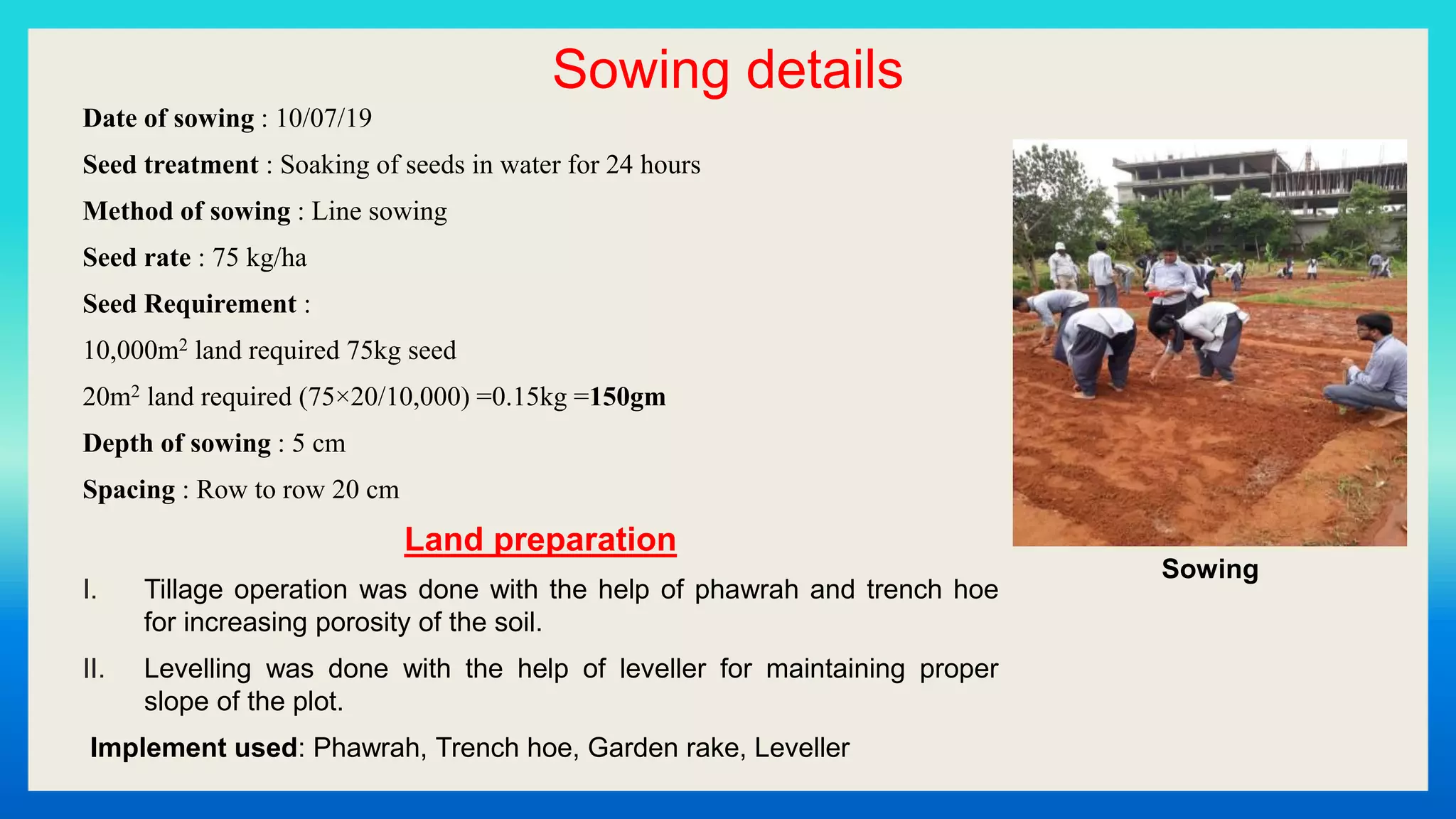 Presentation on Rice | PPTX