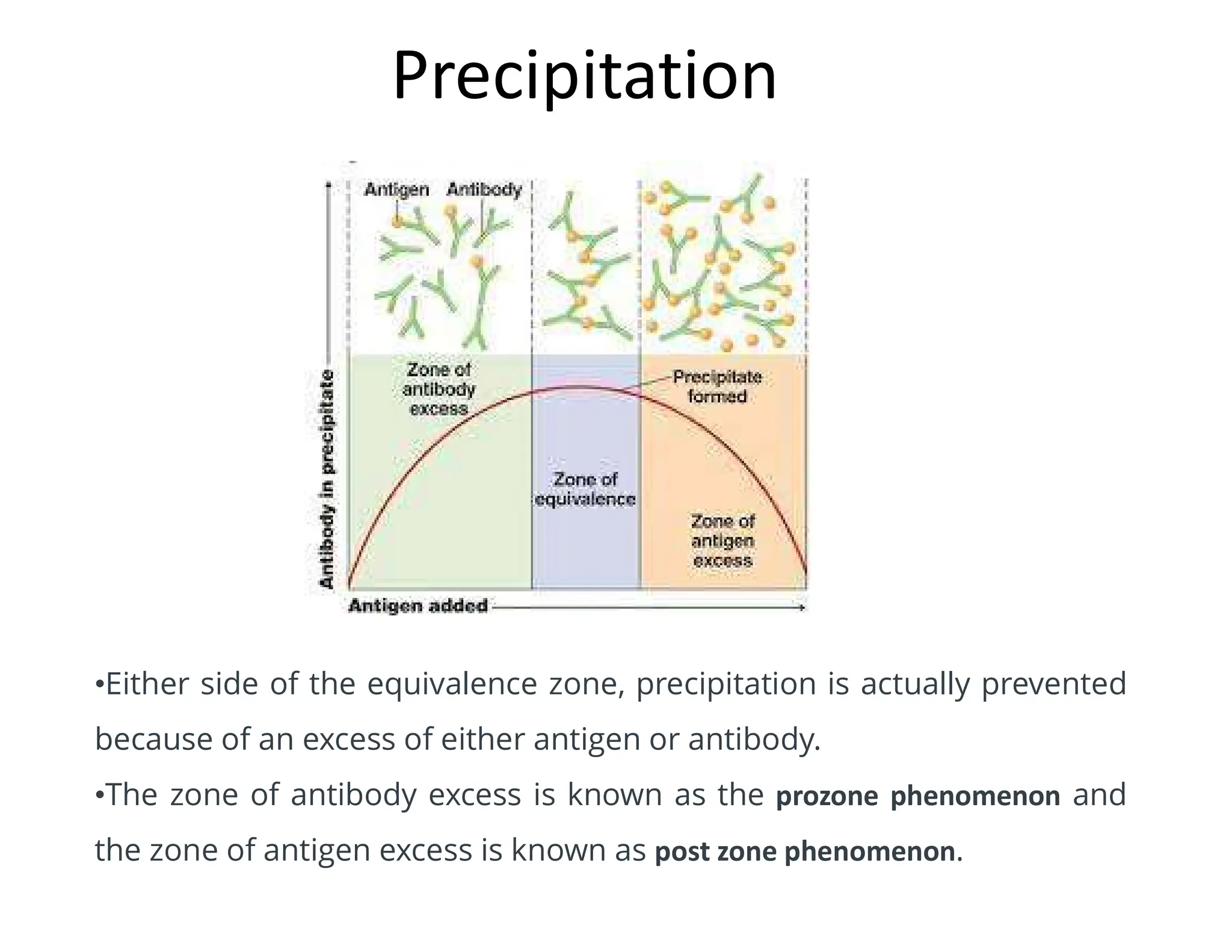 Ag-Ab-Reactions.pdf microbiology and botany | PDF