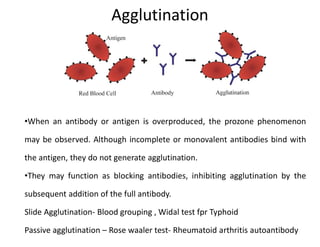 Ag-Ab-Reactions.pdf microbiology and botany | PPT