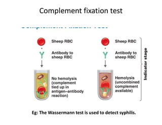 Ag-Ab-Reactions.pdf microbiology and botany | PPT