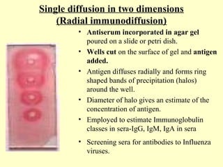 Antigen - antibody reaction based on medical science | PPT