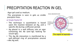 Ag ab interaction | PPT