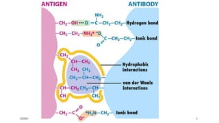 Ag ab interaction | PPTX