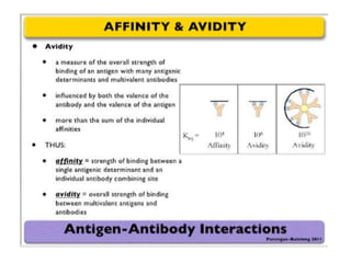 Ag-Ab interaction.pptx