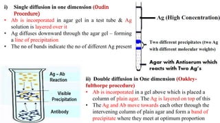 Antigen antibody reaction | PPT