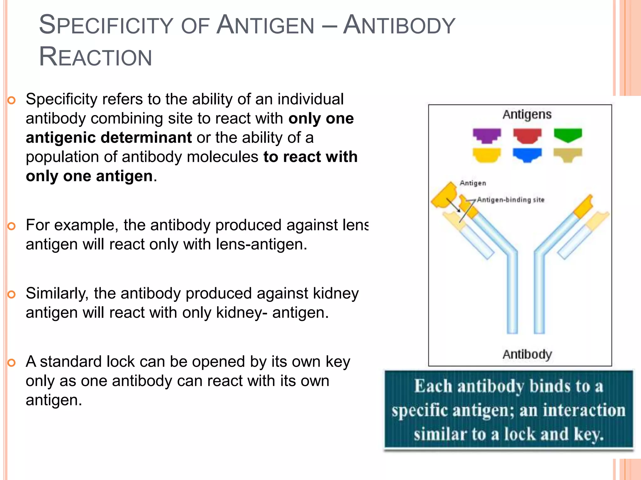 Ag ab reactions | PPTX