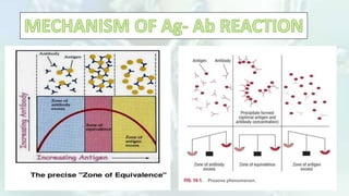 Ag ab reactions | PPTX