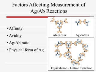ag-ab reactions .ppt