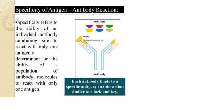Antigen-Antibody Reactions and their types.pptx