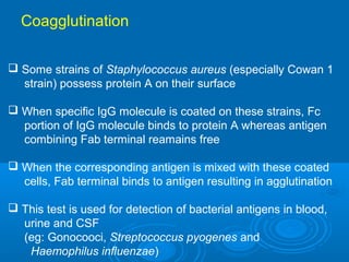 Ag ab reactions, raghu | PPT