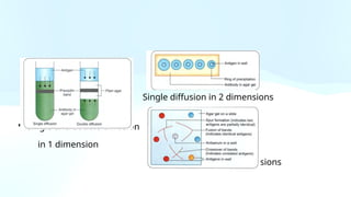 Antigen antibody reactions and their application in diagnosis of ...