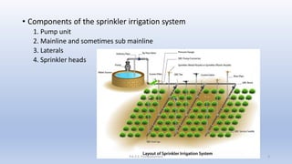 AG 2105 practical 12-13.pdf