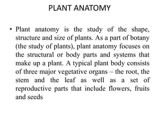 Ag – 503 CROP PRODUCTION TECHNOLOGY class 1.pptx