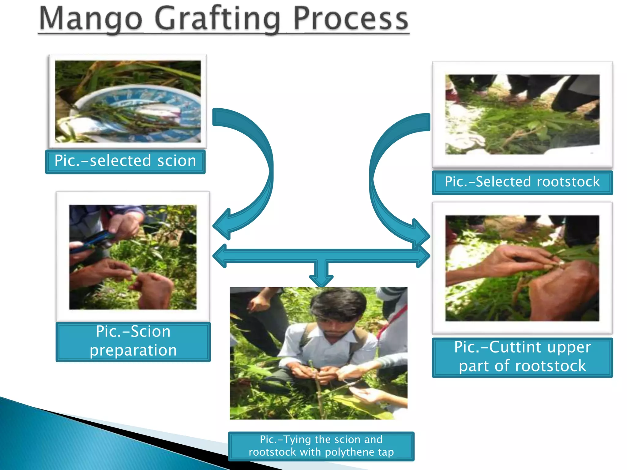 Rural system Analysis{RAWE Programme} | PPT