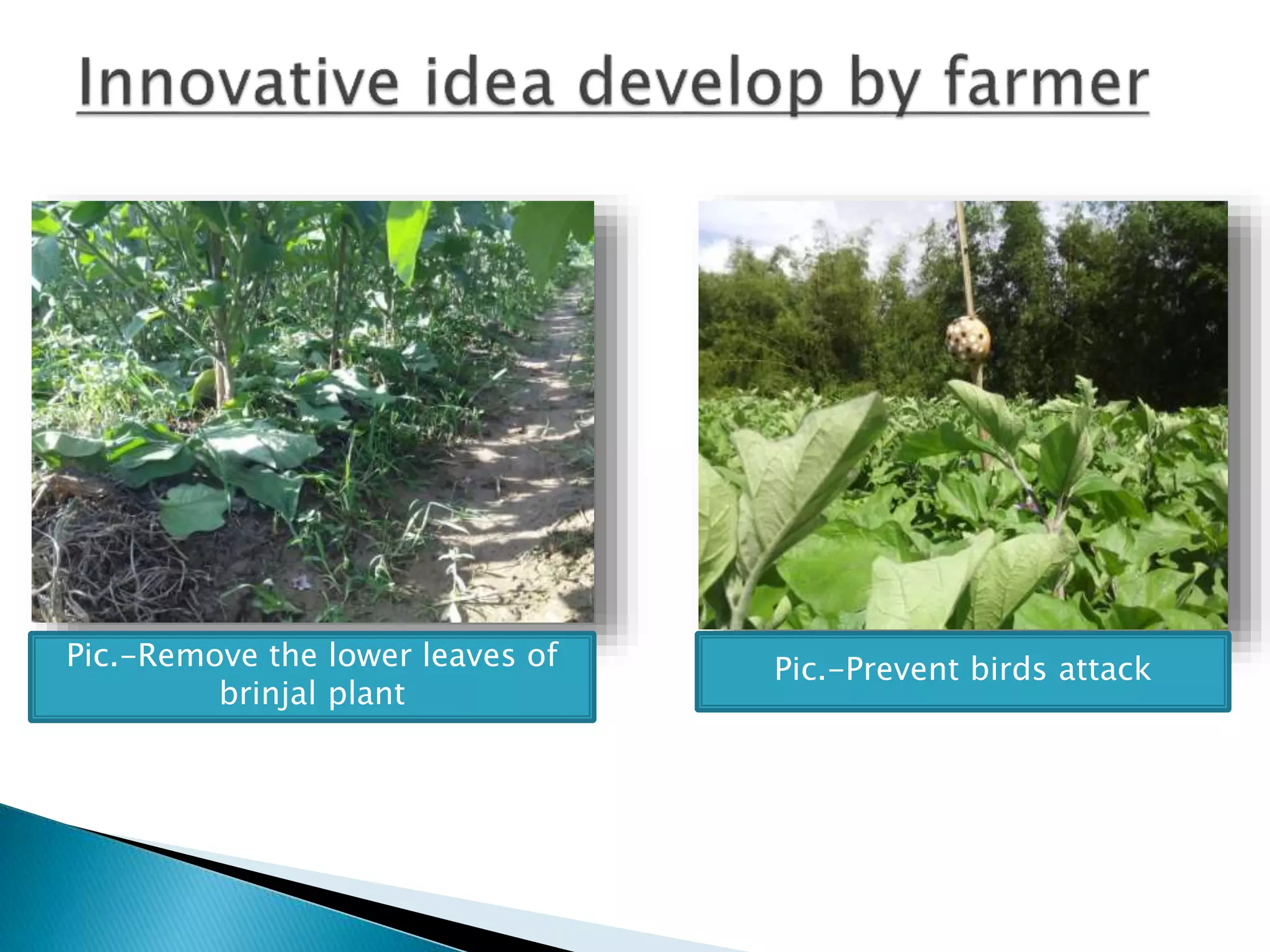 Rural system Analysis{RAWE Programme} | PPT