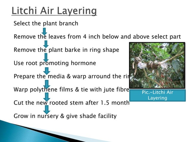 Rural system Analysis{RAWE Programme} | PPT