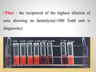 antigen antibody reactions | PPT